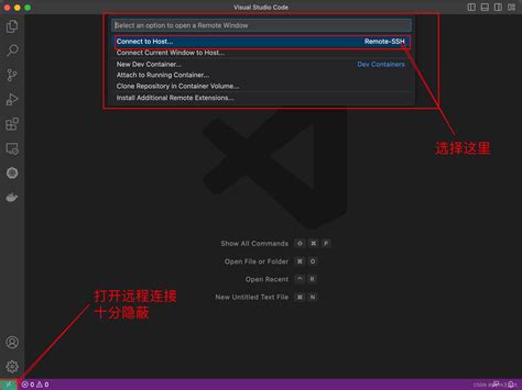 【vscode】shell 通过vscode Ssh 到远程服务器 对比 Xshell Finalshell Electerm等远程shell