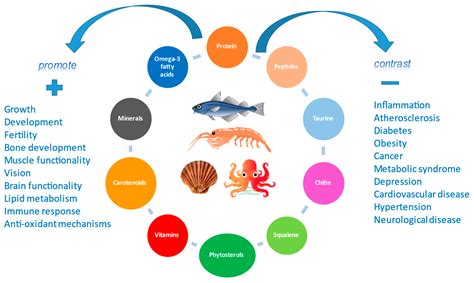 Nutrients And Bioactive Compounds In Seafood Quantitative Literature Research Analysis