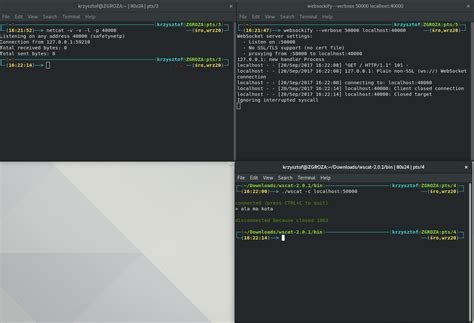 Websocket Websockify Does Not Pass Information Further Connection Is