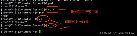 【linux修炼手册：基本指令（上）】 csdn博客