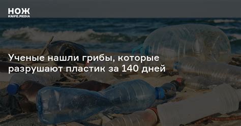 Ученые нашли грибы которые разрушают пластик за 140 дней — Нож