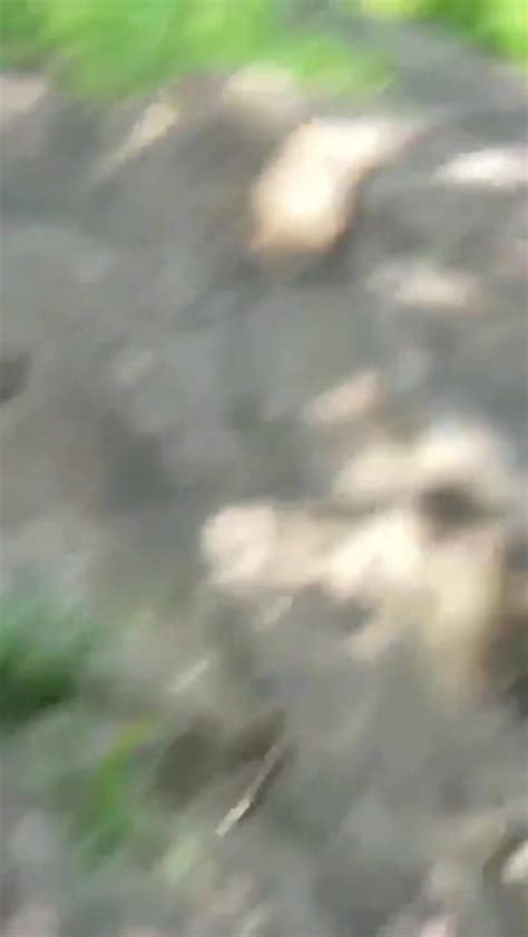Two Guys Fucking Outdoors Gay Outdoor Porn XHamster