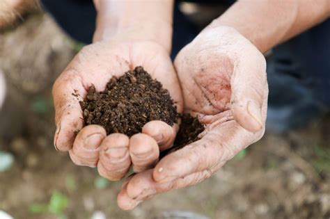 대산농촌재단 [대지의 밥상 7월 이야기] 대지의 밥상 7월 이야기 가장 높은 수준의