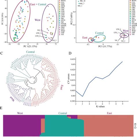 Population Genetic Analyses Of B Bungei Based On Fpkms And Snps A The Download Scientific