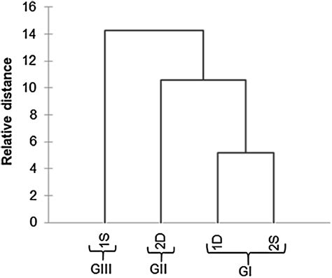 Dendrogram Obtained From The Agglomerative Hierarchical Cluster