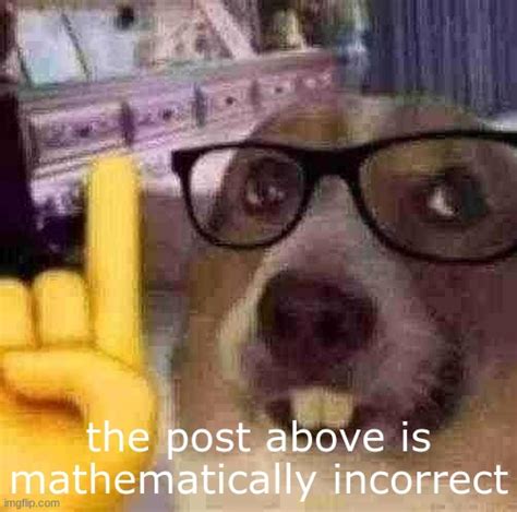 Incorrect Information Memes