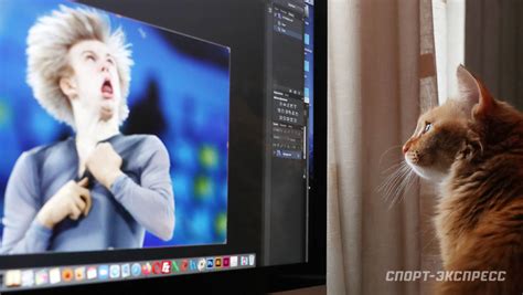 Олимпиада 2022 фигурное катание в Пекине кадры первого дня командного турнира необычные фото