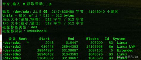 linux 存储管理 linux操作系统 存储管理 csdn博客
