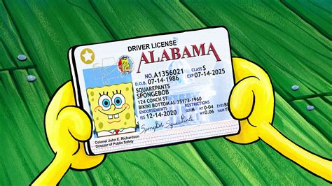 In The End Bob Got A Drivers License Rbikinibottomtwitter