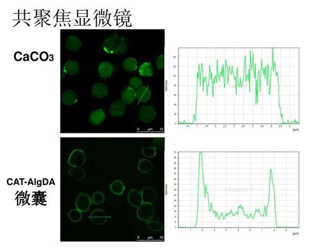 Ppt Preparation Of Catechol Containing Polymers And Their