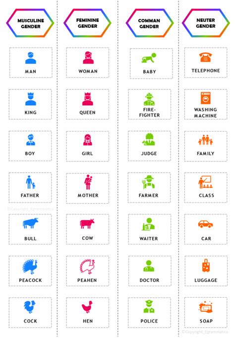 Noun Cases Types Definition Examples EGRAMMATICS