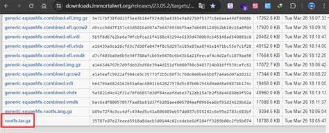 从官方固件到docker镜像：immortalwrt构建与运行之旅