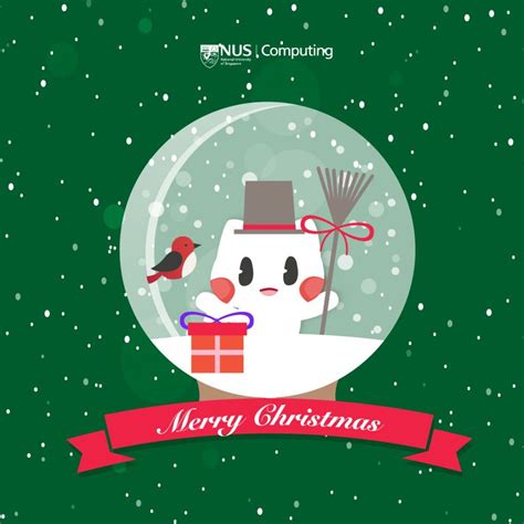 nus computing on linkedin nuscomputing