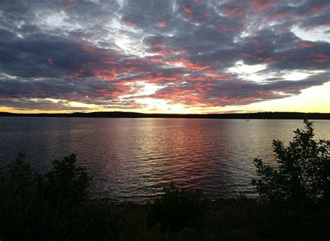 Dusty Phillips At Patron Hunt — Find Your Next Favorite Indie Creator