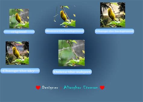 Do Adding Or Removing Removing Changing Objects And Backgrounds By