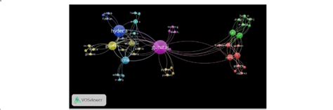 Co Authorship Network Visualisation Map All Authors With Co Authorship