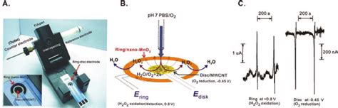 A Photograph Of A Flow Injection Analysis Fia Coupled Download Scientific Diagram