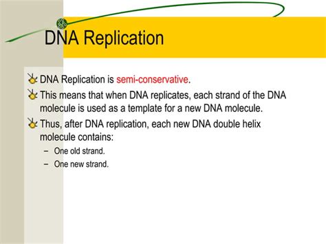 34 Dna Replication Ppt