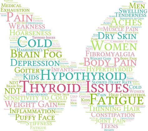 Top Thyroid Nutrients You Cant Ignore NBI