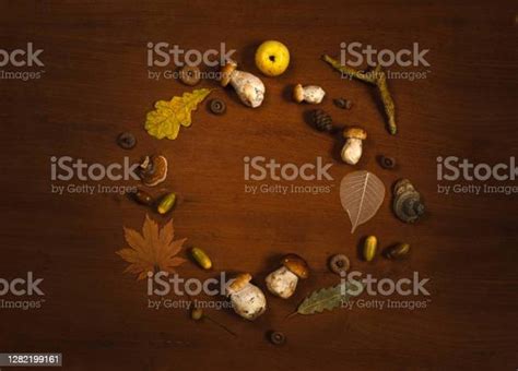 나무 표면에 포르치니 버섯 마른 잎 도토리와 콘의 원의 형태로 레이아웃 공간 가을 컨셉의 오버헤드 0명에 대한 스톡 사진 및 기타 이미지 Istock