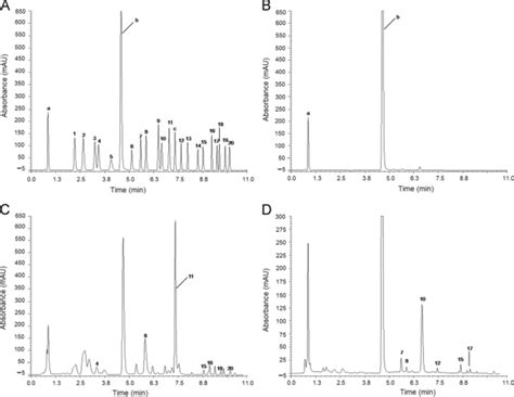 Representative Uhplc Chromatograms Of Amino Acids A Standard