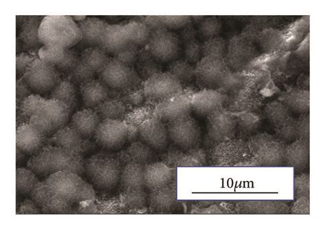 Sem Photos Of The Surface Of The Samples After Immersion In Sbf For 1