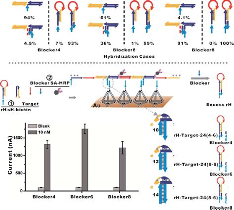 Figure 1 From Single Step Multivalent Capture Assay For Nucleic Acid Detection With Dual
