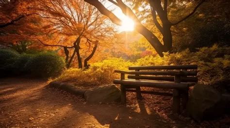 가을 벤치 자연 사진 벤치를 건너는 가을 고화질 사진 사진 공장 배경 일러스트 및 사진 무료 다운로드 Pngtree