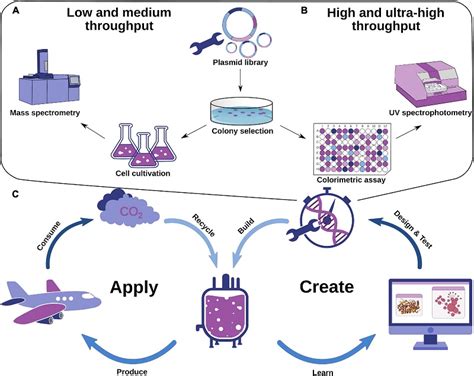 De Novo Enzyme Design For Green Chemistry Cd Biosynsis