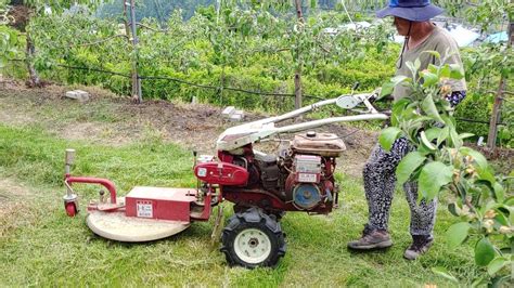 사과나무밭에서 기계로잡초제거하는모습 Youtube
