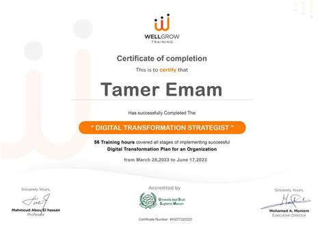 tamer emam mba on linkedin successfully completed digital transformation strategist course