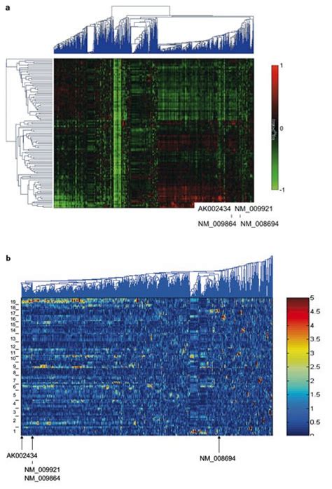 Gene Regulatory Networks Genome Scale Modelling