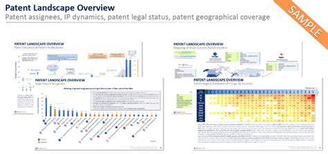 《自扩增rna（sarna）疫苗专利全景分析 2023版》 Mems专利调查报告 微迷：专业mems市场调研媒体 麦姆斯咨询主办