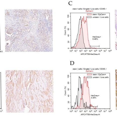 Comparison Of Her2 Expression Detected By Ihc And Flow Cytometry A Download Scientific
