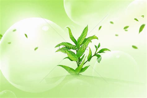 신선한 봄 배경 배경 사진 및 창의적인 일러스트 무료 다운로드 Lovepik