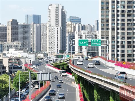 C视频丨成都二环高架桥面再现姹紫嫣红四川在线