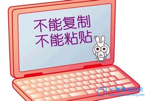电脑不能复制粘贴是什么原因应该怎么办 小猪一键重装系统官网