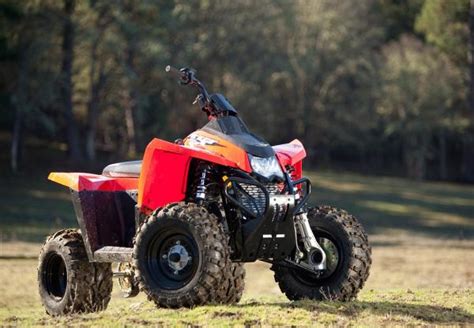 Шины 23*7.00-10 на квадроцикл Polaris Trailblazer 250 купить