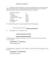 Linkage Mapping Practice Questions Pdf Linkage Crossing Over Female Drosophila With