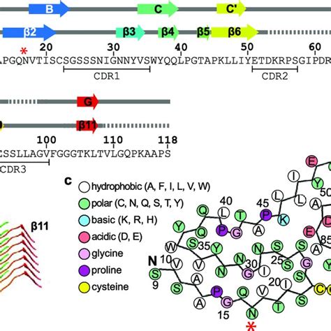 Location Of The Secondary Structural Elements And Mutational Sites In
