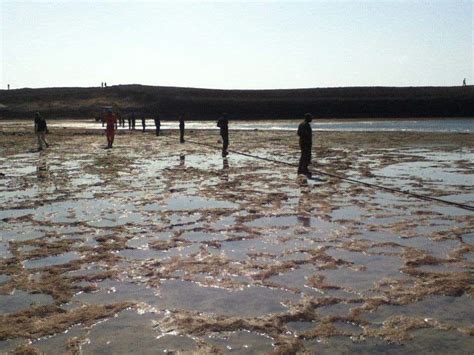 Eastern Africa Submarine Cable System Eassy Seg10 Marine