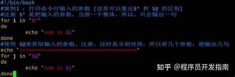 Linux之Shell 编程详解 超级详细版本 知乎