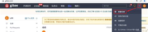 使用gitee协同开发项目gitee添加开发者 Csdn博客