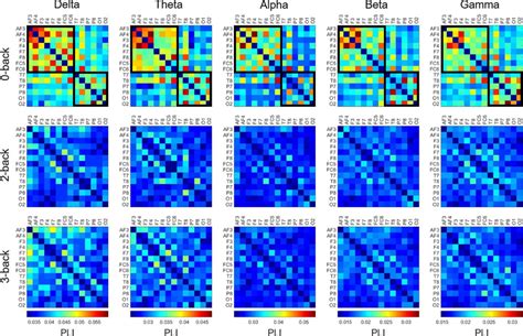 Grand Median Connectivity Matrices Group‐representative Connectivity