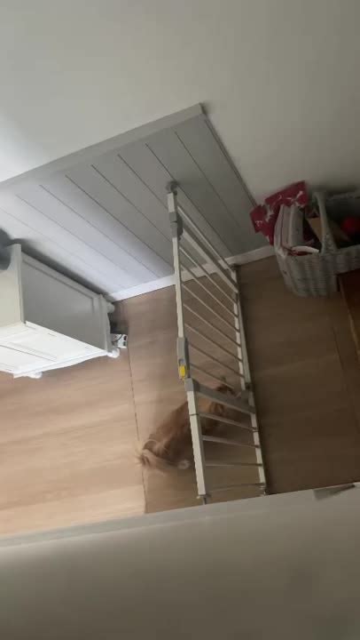 Daniel Whitton On Linkedin Not Work Related But Still Another Of Work