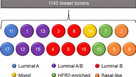 2 The Intrinsic Subtypes Of Breast Cancer Subdivide Into The