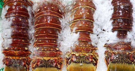 How Long Can Lobster be Frozen? A Guide to Storing Seafood