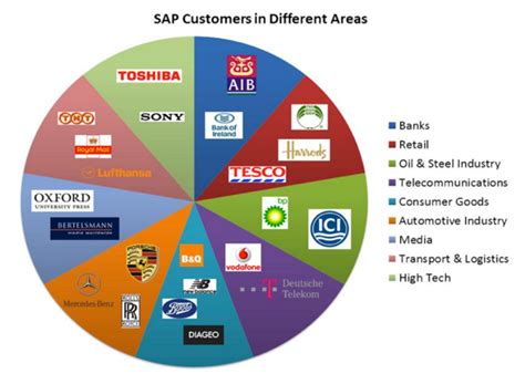 SAP Usage Scope Download Scientific Diagram