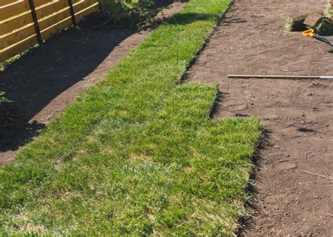 Oswego Il Sod And Lawn Installation Replacement Maintenance